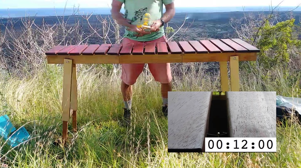 Portable Marimba now available – Seed of Life Productions